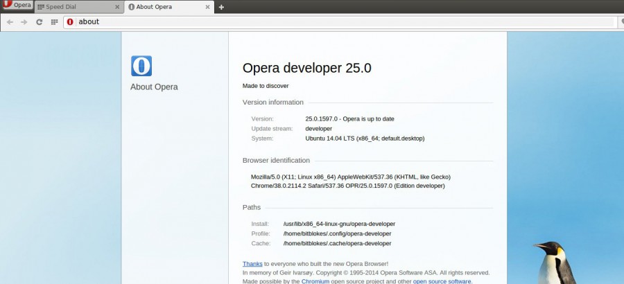 Auch für Linux: Update für Opera developer 25