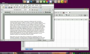 Puppy Linux 8.0 ist ein BionicPup: 32- und 64-Bit - Screenshot-Tour